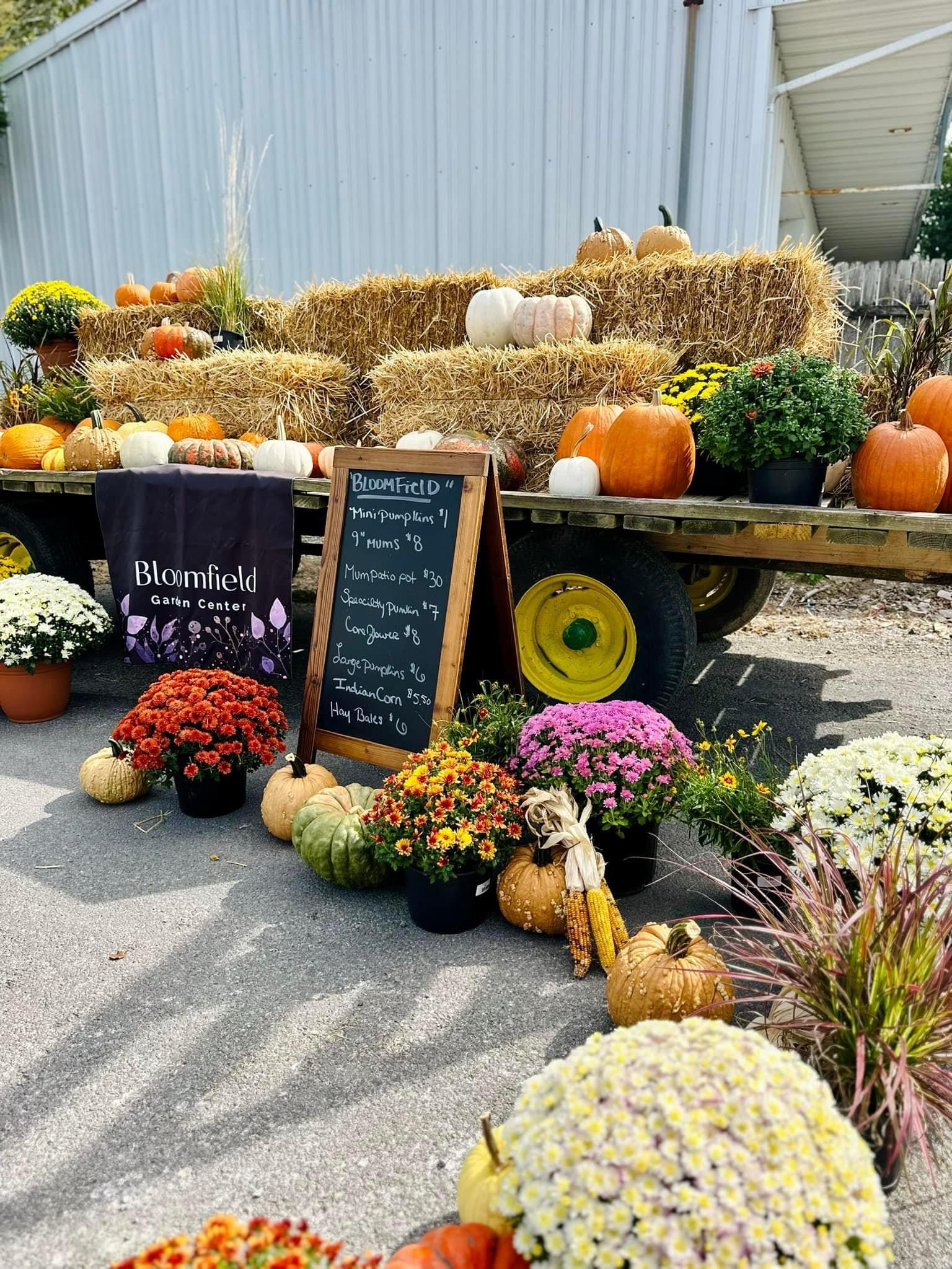 Gallery – Bloomfield Garden Center