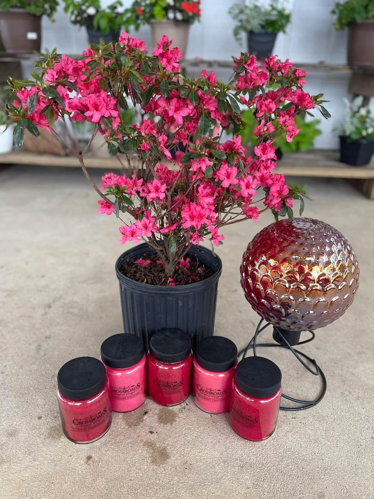 Bloomfield Garden Center – Complete garden and landscaping needs